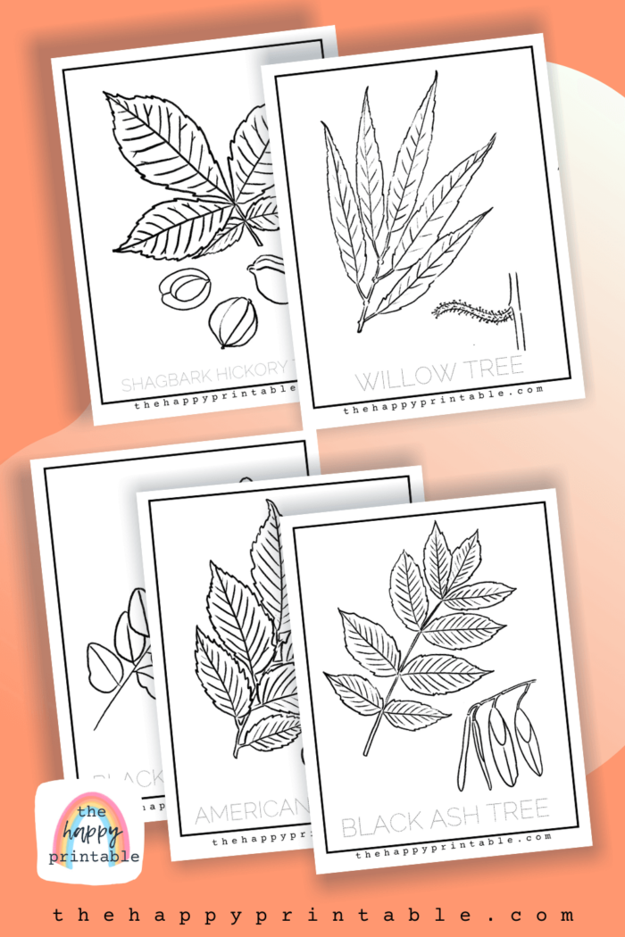 Printable Leaf and Seed Coloring Pages | The Happy Printable