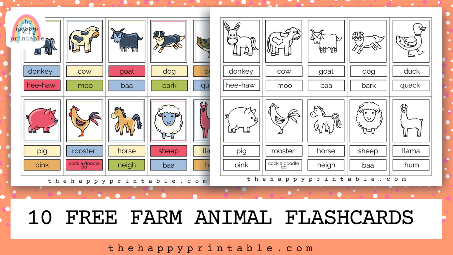 Printable Zoo Animal Flashcards | The Happy Printable